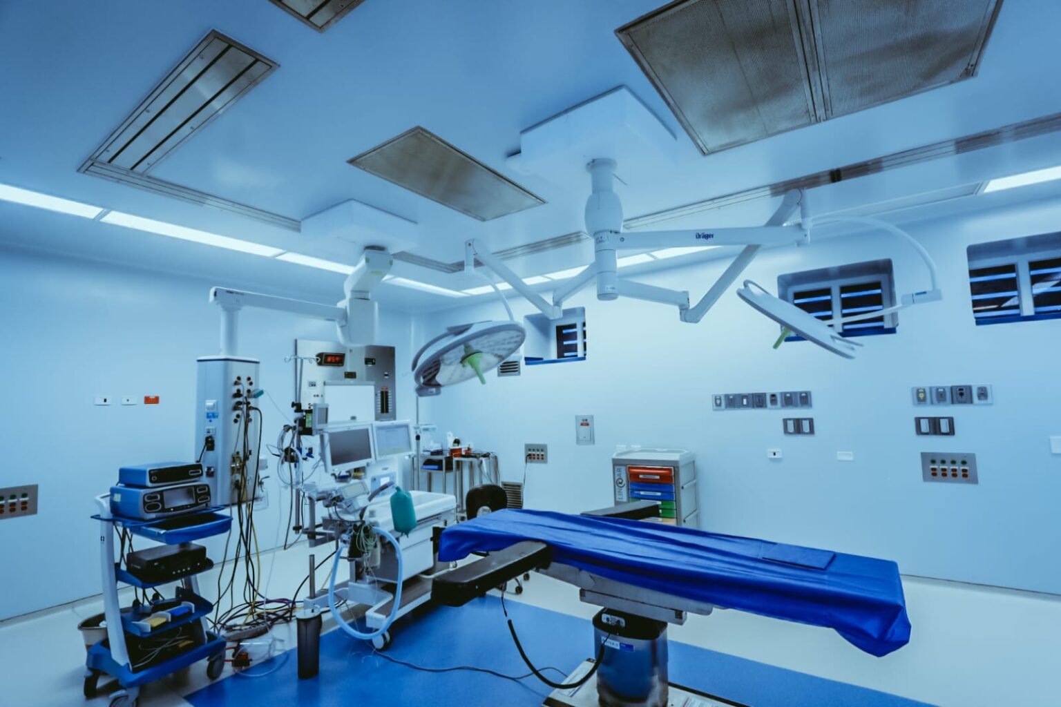 ¿Cuántos huesos tienen los humanos? | Orthosurgeons